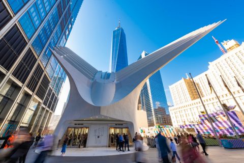 Seventh Anniversary of the Oculus Opening | World Trade Center