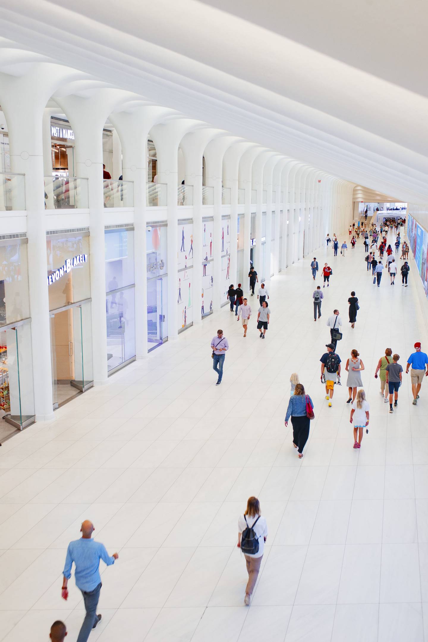 oculus opening hours